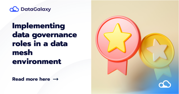Data governance roles for data mesh environments
