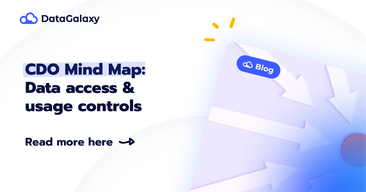 Data access & usage controls deep dive - DataGalaxy