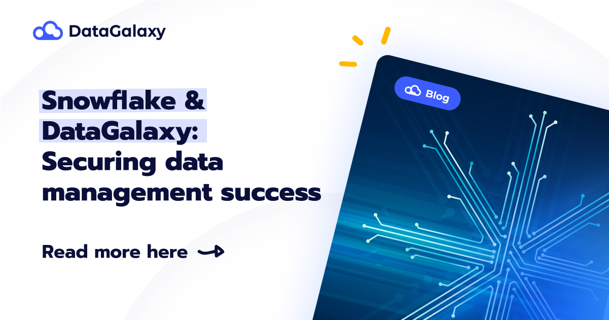 DataGalaxy & Snowflake for secure data management